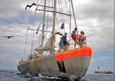 TARA OCEANS completes 60,000-mile journey to map marine biodiversity ...