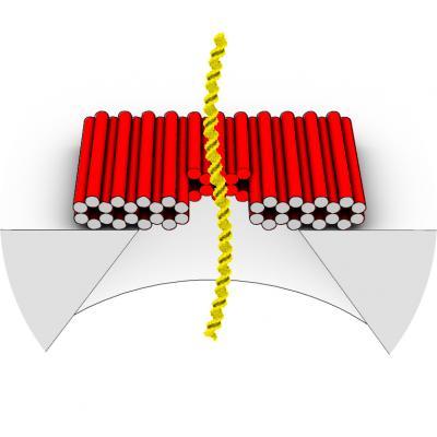 DNA origami puts a smart lid on solid-state nanopore sensors | Science ...