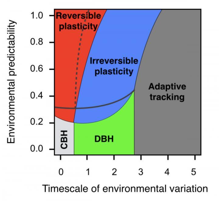 Environmental 'tipping points' key to predicting extinctions | Science ...