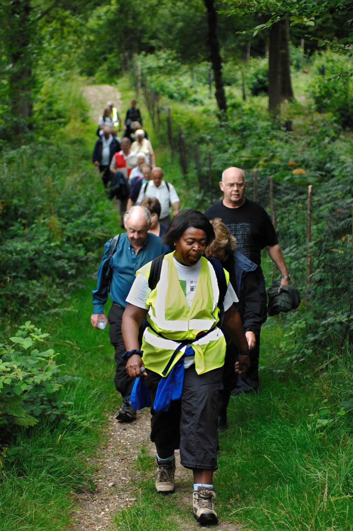 Beating stress outdoors? Nature group walks may improve mental health ...