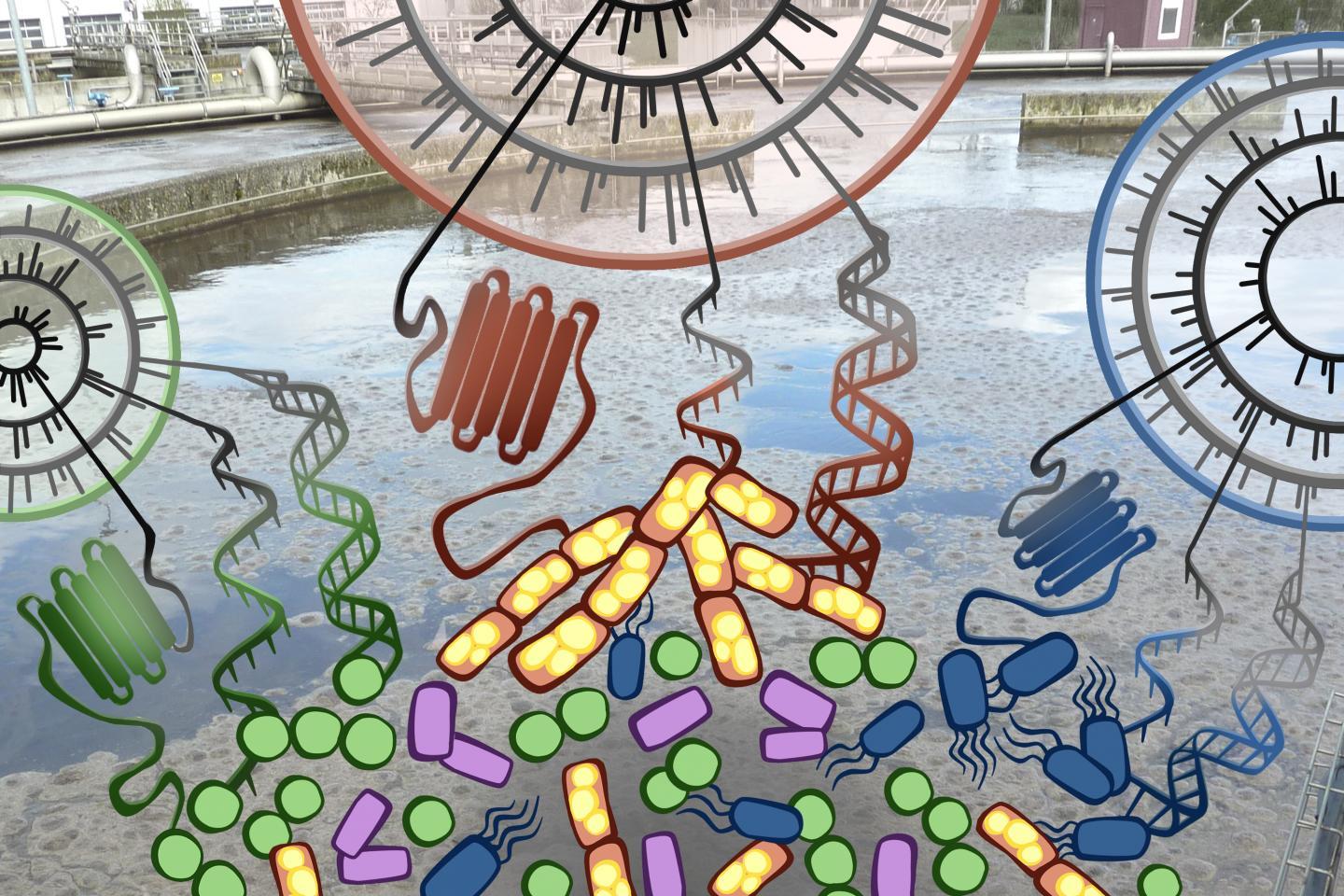 Precise measurements of microbial ecosystems | Science Codex Precise measurements of microbial ecosystems | Science Codex