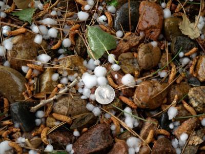 Colorado mountain hail may disappear in a warmer future | Science Codex