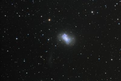 Citizen science: NGC 4449 dwarf galaxy discovered with help from ...