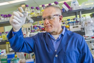 Less toxic metabolites, more chemical product | Science Codex