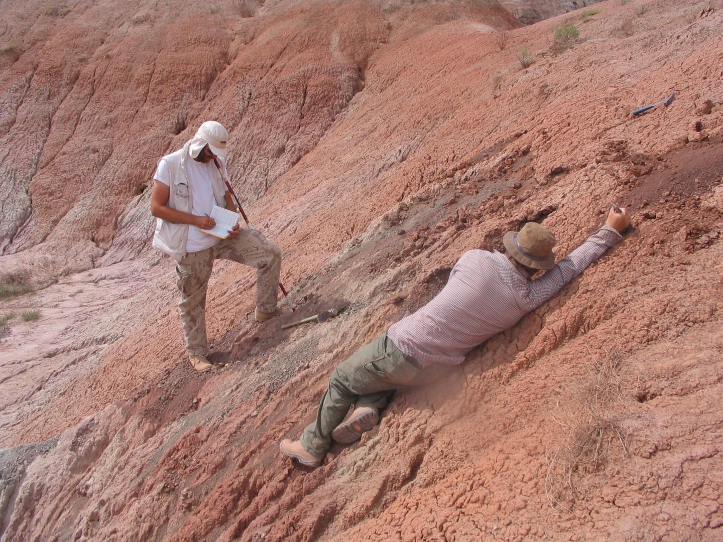 Jurassic climate of large swath of western US was more complex than ...