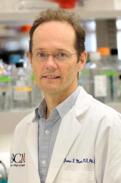 Breakthrough in adult heart repair | Science Codex