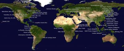 Trees grow faster and store more carbon as they age | Science Codex