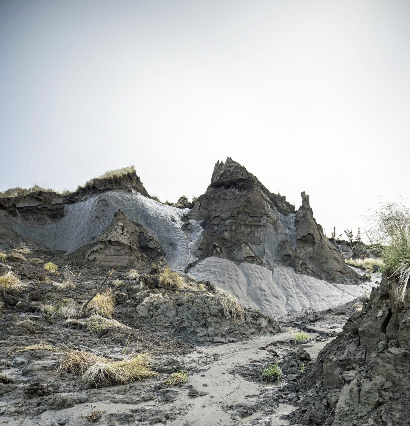 Warming Climate May Release Carbon In Arctic Soils | Science 2.0