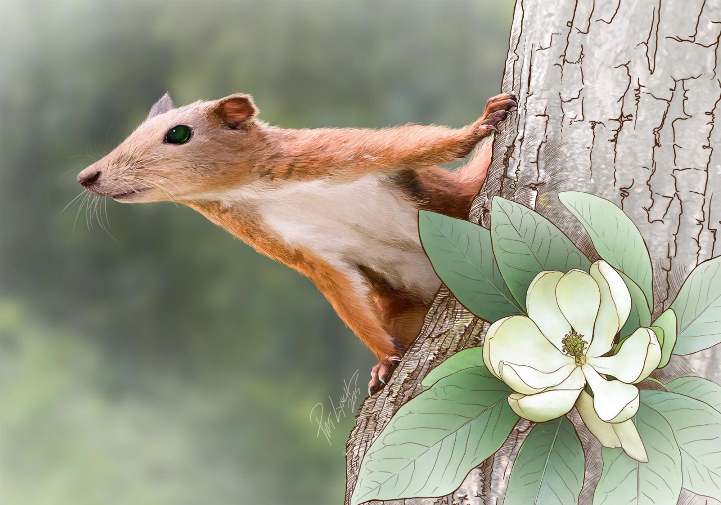 Purgatorius: Earth's earliest primates lived in trees | Science Codex