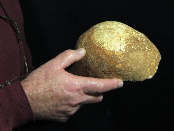 Ancient skull proves modern humans colonized Eurasia 60-70,000 years ...